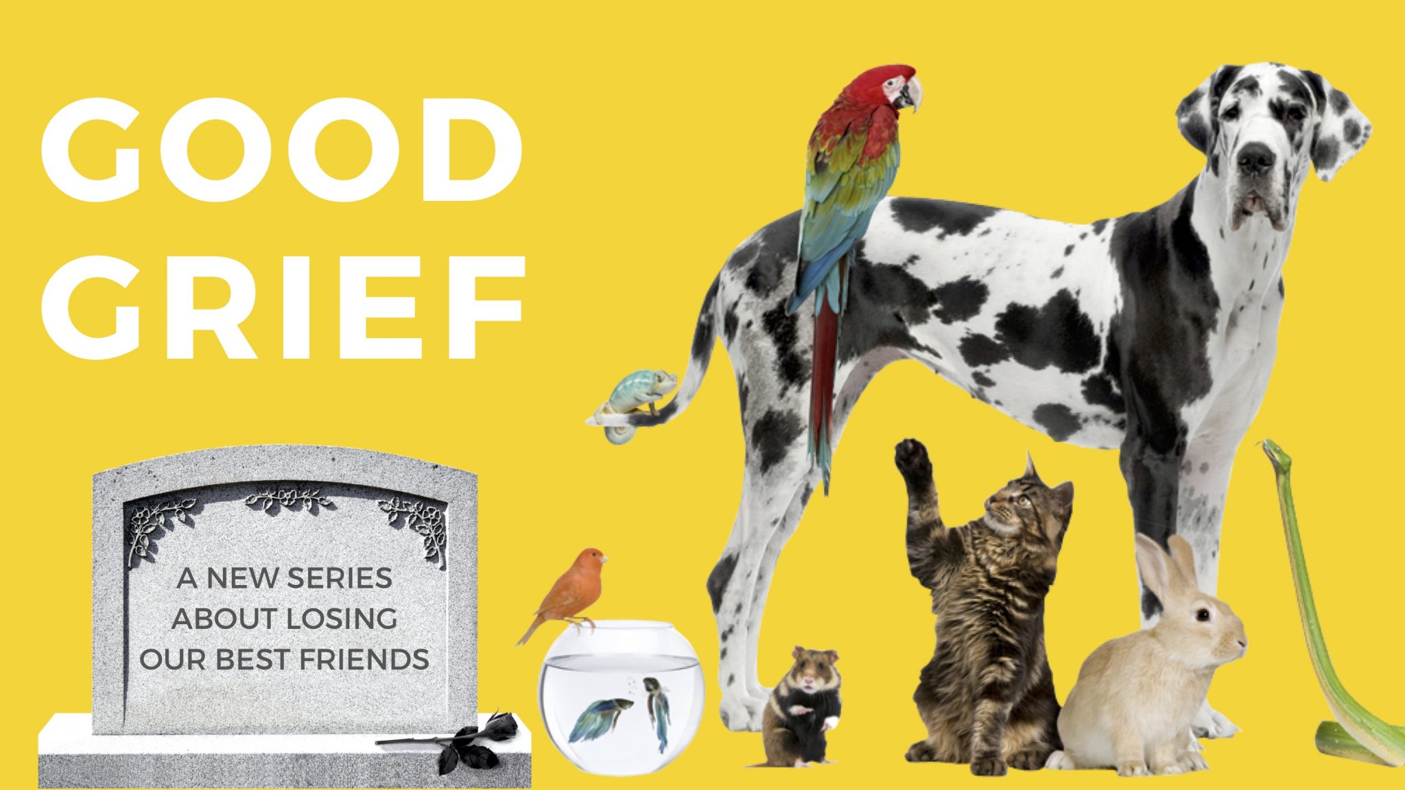 Good Grief – The Orchard Project